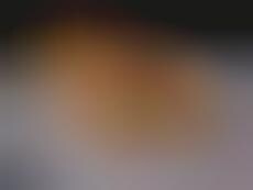 French Canadian Donuts : poutine recipe