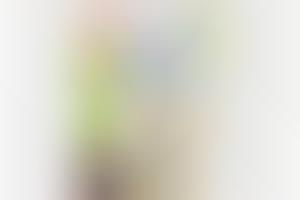 Flaxseed Chocolate Bars : sweetriot