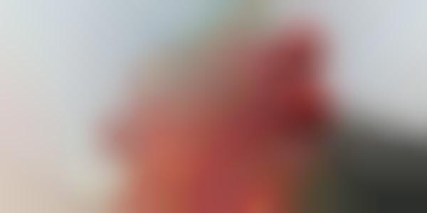 Shipping Container Calendars : holiday giveaway