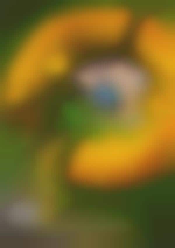 64 Oversized Design Concepts