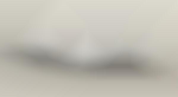 Disposable Drone Prototypes : biodegradable drone