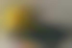 Computer Game Cartons : Pacman packaging