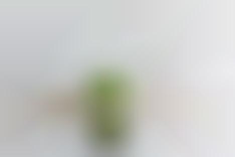 Park-Inspired Workstations : fish tank desk