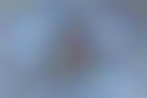 Body-Painted Animal Portraits : Shannon Holt