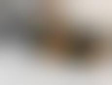 Communal Tool Sharing : tool sharing