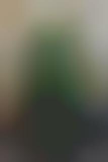 Composting Vertical Gardens : home compost