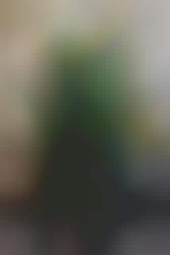 Composting Vertical Gardens : home compost