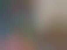 Mermaid Festival Photos : Merfest