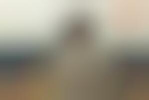 Nature Walk Simulators : "virtual reality experiences"