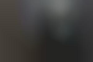 Elegant Escargot Packaging : elegant escargot packaging