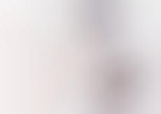 Expert Eyebrow Kits : Brows That Wow