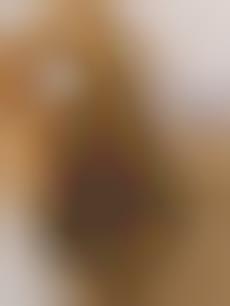Political Business Attire: Barack Obama Hand Silk Screened Neckties