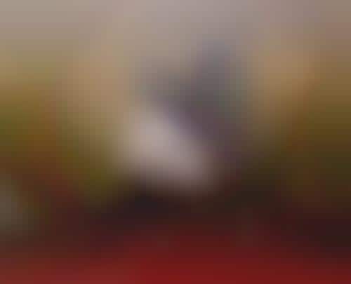 30 Humorous Takes on Death