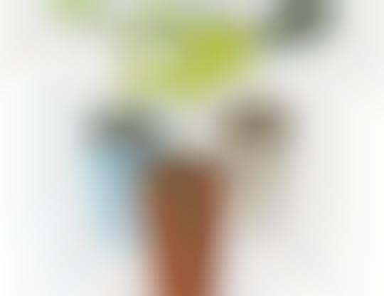 Problem-Solving Plants: The Sega Toys Healing Leaf