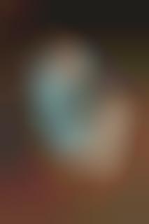 Naughty Political: Nailin' Paylin Promo