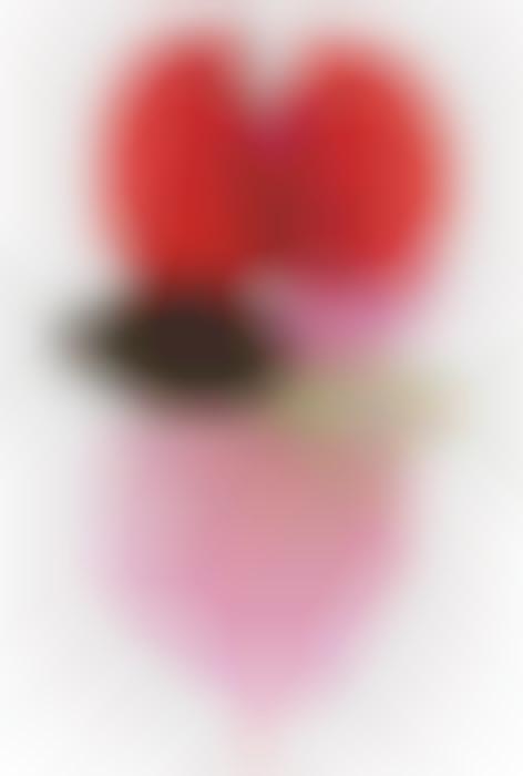 Anatomical Balloon Art: A Second Nature Balloonatomy