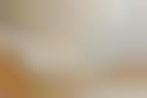 Pet-Friendly Architecture: The Plus-Nyan Cat House