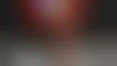 Faceless Therapy Cats: Chase Helps Disfigured Humans Heal