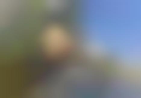 Rodents Doing Water Sports: Surfing Rats