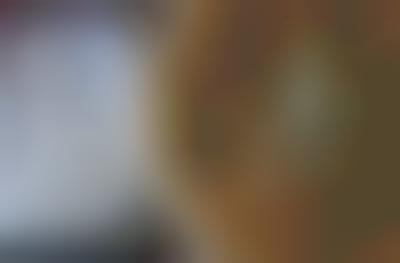 Frog Leg Pizza: The Controversial ‘Hopper' Pie