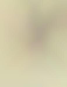 Anatomically-Correct Toys: Micro Schematic Lego Man