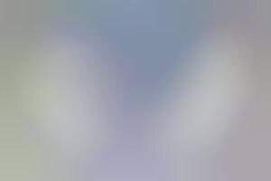 Cinematic Tissue Campaigns : "kleenex tissues"