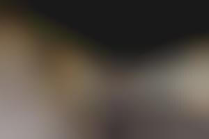 Sophisticated Love Shops : love shop