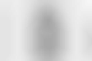 Selective Lifelogging Cameras : lifelogging camera