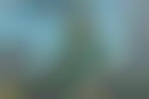 Moody Hyperreal Portraits : Jonathan Viner