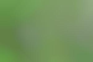 Chromatic Pharmacy Interiors : contemporary architecture