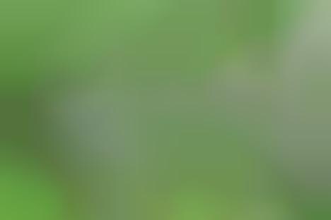 Chromatic Pharmacy Interiors : contemporary architecture