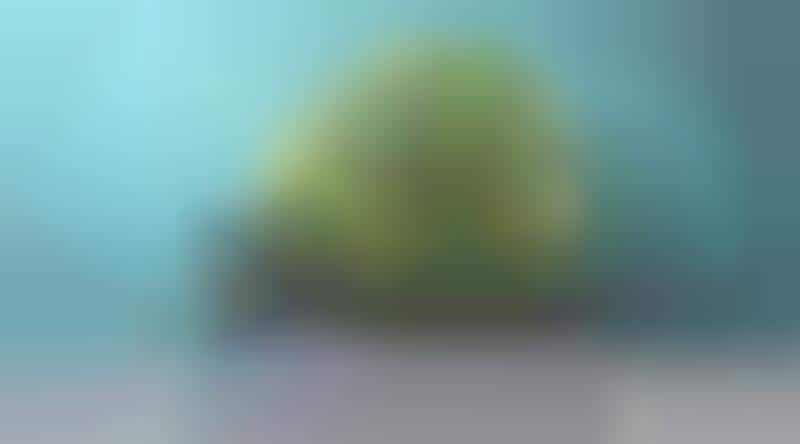 13 Medicinal Marketing Campaigns