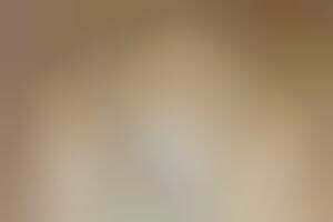 Fun House Restaurants : Fiii Fun House