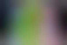 Supercomputer Dinosaur Toys : cognitoys