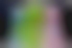 Supercomputer Dinosaur Toys : cognitoys