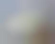 Flexible Biodegradable Paper : FiberForm