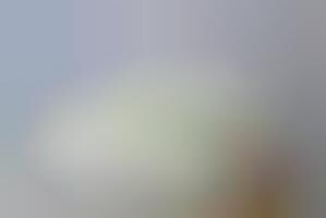 Flexible Biodegradable Paper : FiberForm