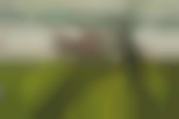 Eccentric Bike Archives : Houston Bicycle Museum