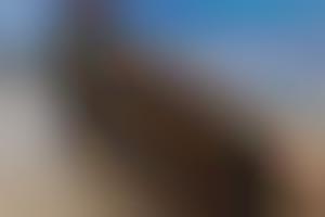 Blissful Beach Editorials : a bikini editorial