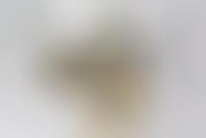 Organic Marijuana Services : organic marijuana