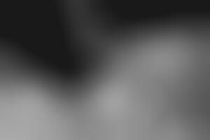 Hot Sauce Sommeliers : The Heatonist