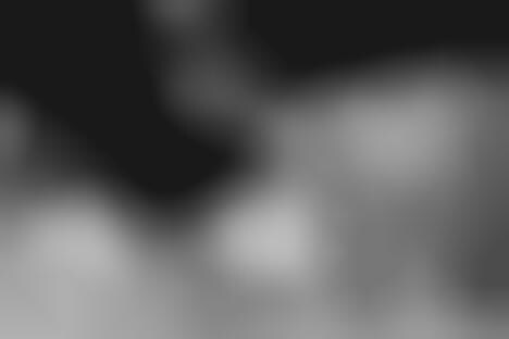 Hot Sauce Sommeliers : The Heatonist