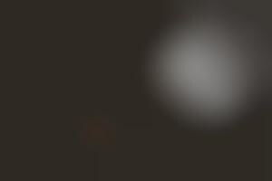 Precise Hybrid Cookers : cooking device