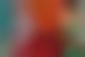 Salmon Skin Purses : fish leather handbags