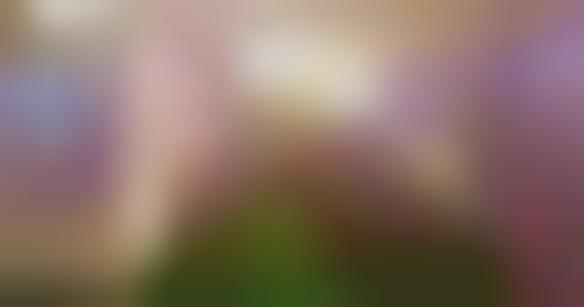 Farm-Inspired Chocolate Displays : chocolate display