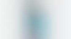 Presidential Action Figures : hillary clinton action figure