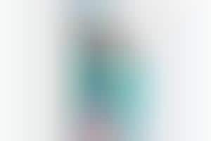 Presidential Action Figures : hillary clinton action figure