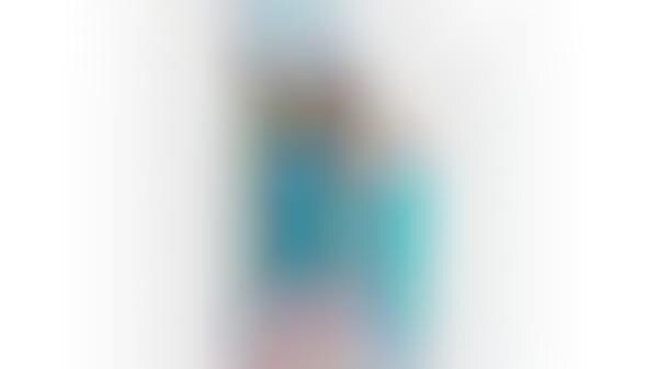 Presidential Action Figures : hillary clinton action figure