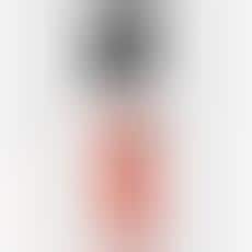 Floating Camera Mounts : floating camera