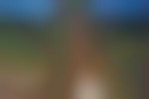 Live Smartphone Tourism : video tours